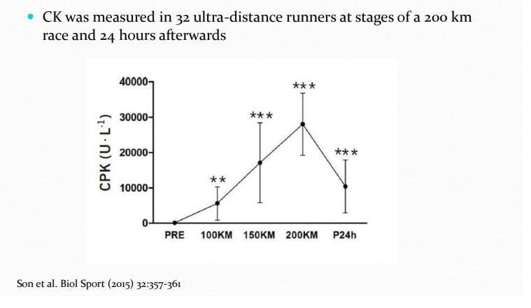 CREATINA QUINASA (cpk): Qué es y como bajarla
