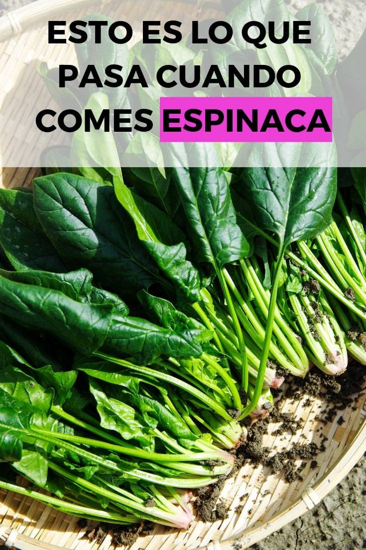 ESPINACA: 7 Beneficios y propiedades